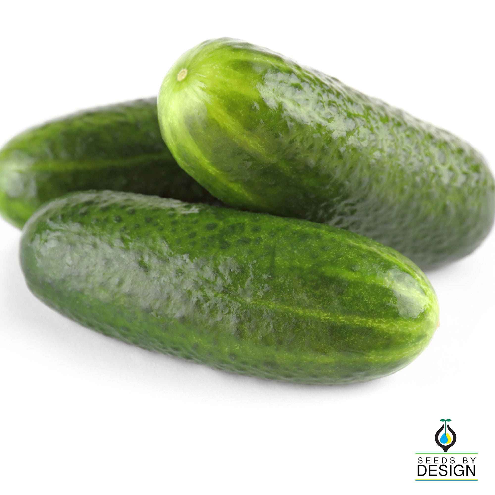 Cucumber Seeds – SeedsbyDesign.com